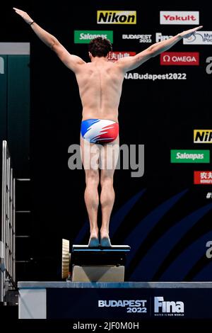 BOUYER Jules FRA3m Springboard Men Semifinal Diving FINA 19th World ...