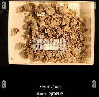silicified residue and shell fragments Stock Photo - Alamy