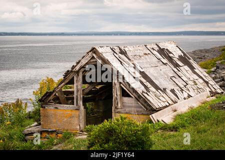 Weather-beaten ruin of an old fish drying shack or shed in Blue Rocks ...