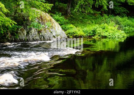 Rapidly flowing water of the Mersey River in Kejimkujik National Park ...