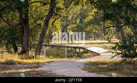 A timber platform over the Sapphire Wetlands Reserve stretching out ...