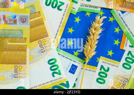 Wheat spikelets on the background of the flag of Ukraine. Harvest of ...
