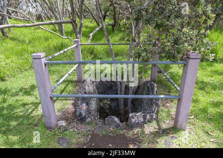 Tree mold, Hawaii Volcanoes National Park, Hawaii Stock Photo - Alamy