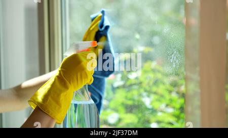 Female hands with rag washing window in room Stock Photo - Alamy