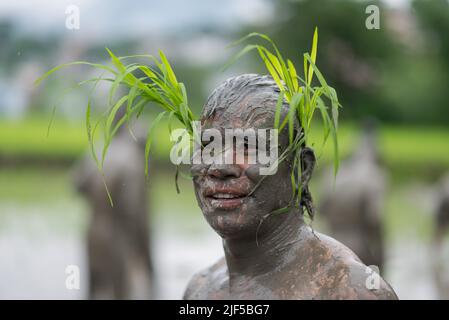A man's face covered with mud smiles in a rice paddy field during the ...