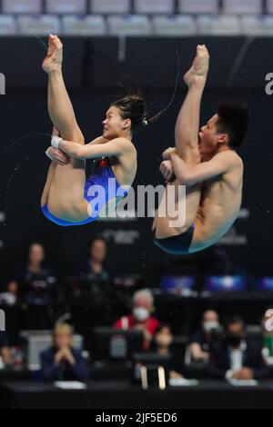 Zhu Zifeng and Lin Shan of China compete during the mixed diving ...