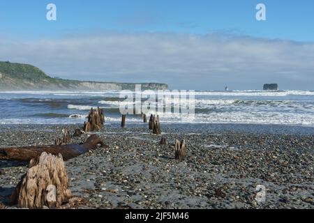 Typical rugged South Island West Coast beach at Rapahoe, New Zealand ...