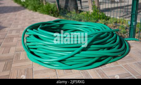 Green House pipe coiled round at house lawn garden after watering. Made ...