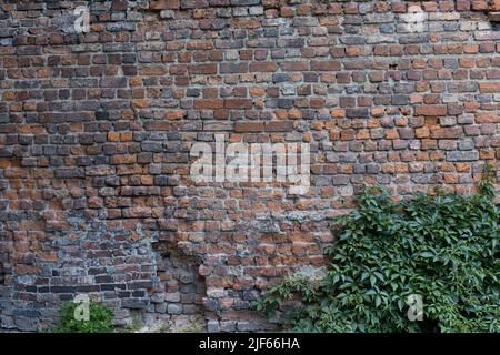 Texture of Weathered Antique Brick Wall with Yellow and Pinkish Blocks ...