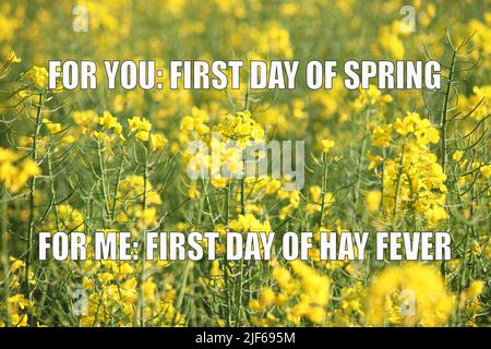Allergies season funny meme for social media sharing. Spring time ...