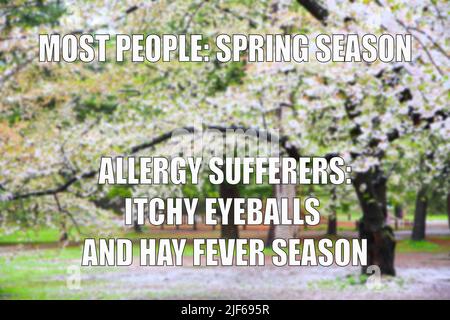 Allergy funny meme for social media sharing. Spring season allergic hay ...