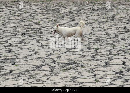 New Delhi, India. 29th May, 2026. NEW DELHI, INDIA - MAY 23: U.S ...