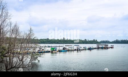 Jenal Jetty at Seletar Fishing Village. Singapore's Last Fishing ...