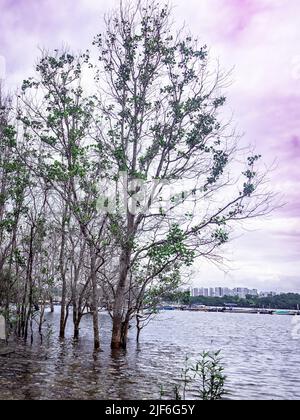Seletar Fishing Village, Singapore's Last Fishing Village, near Yishun ...