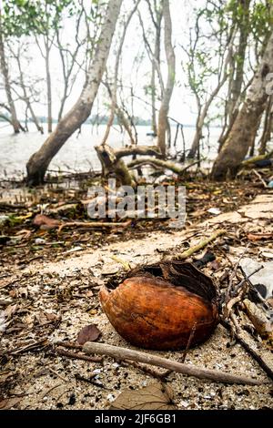 Seletar Fishing Village, Singapore's Last Fishing Village, near Yishun ...