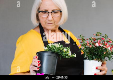 Elderly female gardener in apron and cap watering plants in a balcony ...