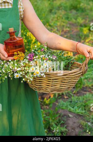A woman makes herbal tincture. Selective focus Stock Photo - Alamy
