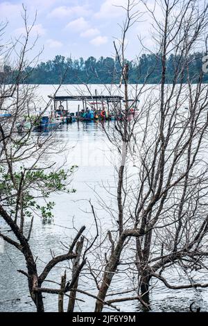 Jenal Jetty at Seletar Fishing Village. Singapore's Last Fishing ...