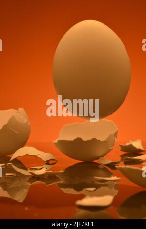 Egg levitating above broken shells Stock Photo - Alamy