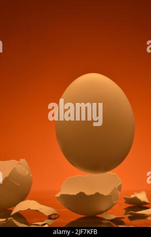 Egg levitating above broken shells Stock Photo - Alamy