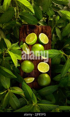 Limes and growing mint in the garden. Lime slices and mint leaves on an ...