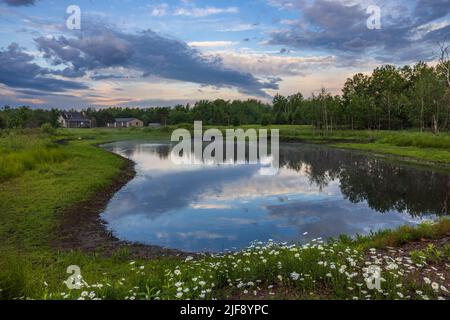 Northwoods homestead on a pretty June morning Stock Photo - Alamy