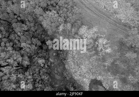 A small watercourse or creek winding through rural bushland. Drone ...
