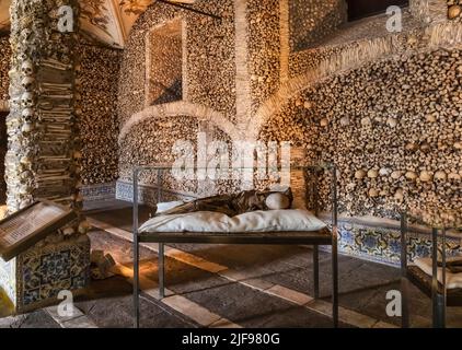 Skulls and bones in the ossuary, Capela dos ossos parede, chapel of the ...