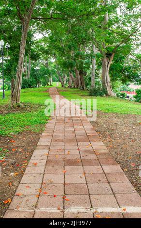 The Stone block walk path on soil with Depth Of Field Stock Photo - Alamy
