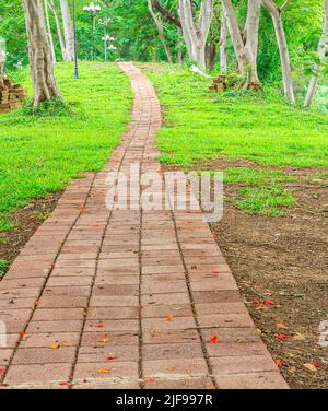 The stone block walk path in a lattice shape with green grass in it ...