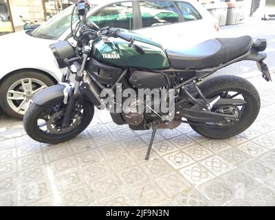 Yamaha XSR700 motorbike in new forest near a horse Stock Photo - Alamy
