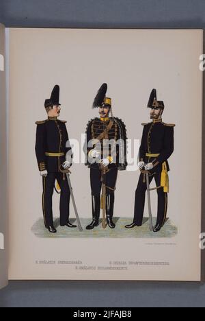 President with uniform for the divided infantry regiments, Gotland's ...