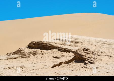 Aeolian Desert Sandstone. Sedimentary rock sample Stock Photo - Alamy