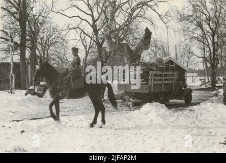Officers from Södermanland Regiment in 10 and the horse Ruth Stock ...