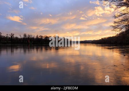 France, Vaucluse, Caderousse, view of the Rhone from the Ile de la ...