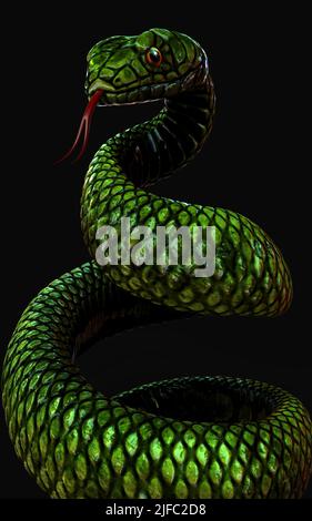 Black snake skin, close up, wide panoramic view Stock Photo - Alamy