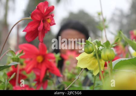 Nature and it's interspersion with humans in Assam Stock Photo - Alamy