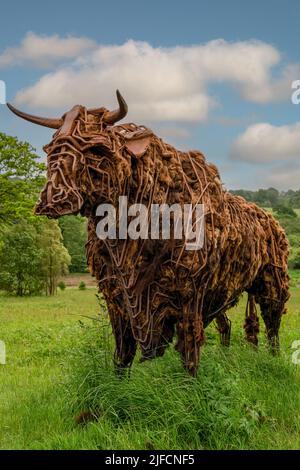 close up of a model bull made from a metal iron cage frame filled with ...