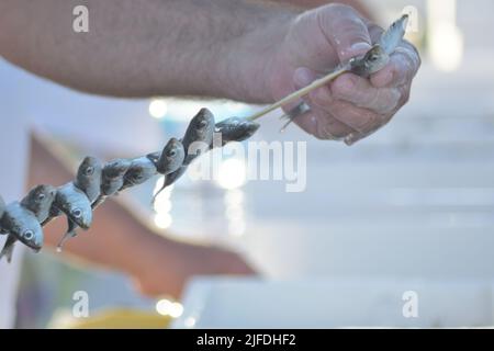 Skewering sardines espeto. Sardines espetos, typical spanish food Stock ...
