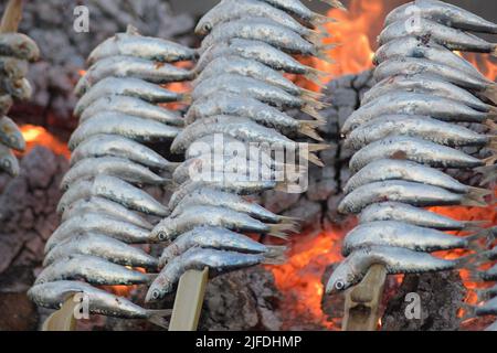 Popular barbecue with sardines espetos at grill, typical spanish food ...
