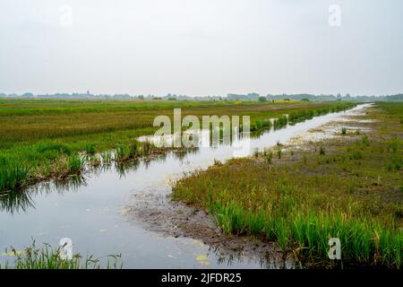 Channel in the marshlands on a sunny winter day Stock Photo - Alamy
