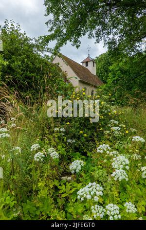 Garden Benthall Hall Stock Photo - Alamy