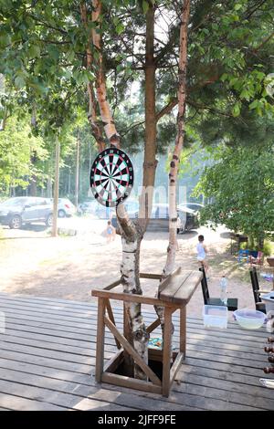 Photo of a dart board hanging from a tree Stock Photo - Alamy
