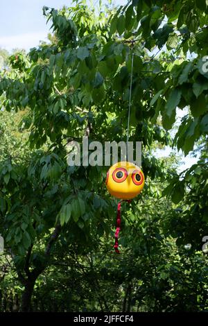 Scare-eye balloon or bird scare ball. Inflated scare-eye bird repellent ...