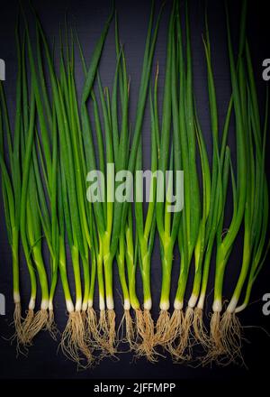 Scallions on a dark surface Stock Photo - Alamy