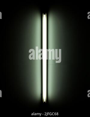 Detail of a fluorescent tube mounted on a wall, false green color light ...
