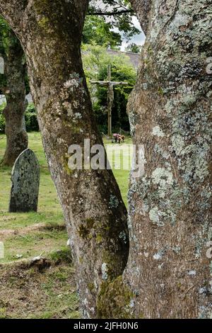St Germoe Parish Church, Germoe, Cornwall Stock Photo - Alamy