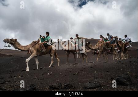 Tourists riding camels, in Timanfaya National Park, Lanzarote, Canary ...