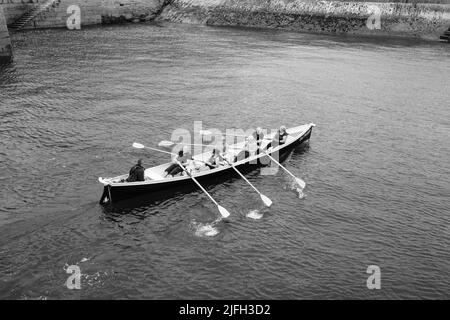 Gig Rowing Training in Porthleven, Cornwall Stock Photo - Alamy