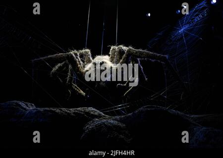 Aragog, Giant Spider, Harry Potter Studios, the Making of Harry Potter ...